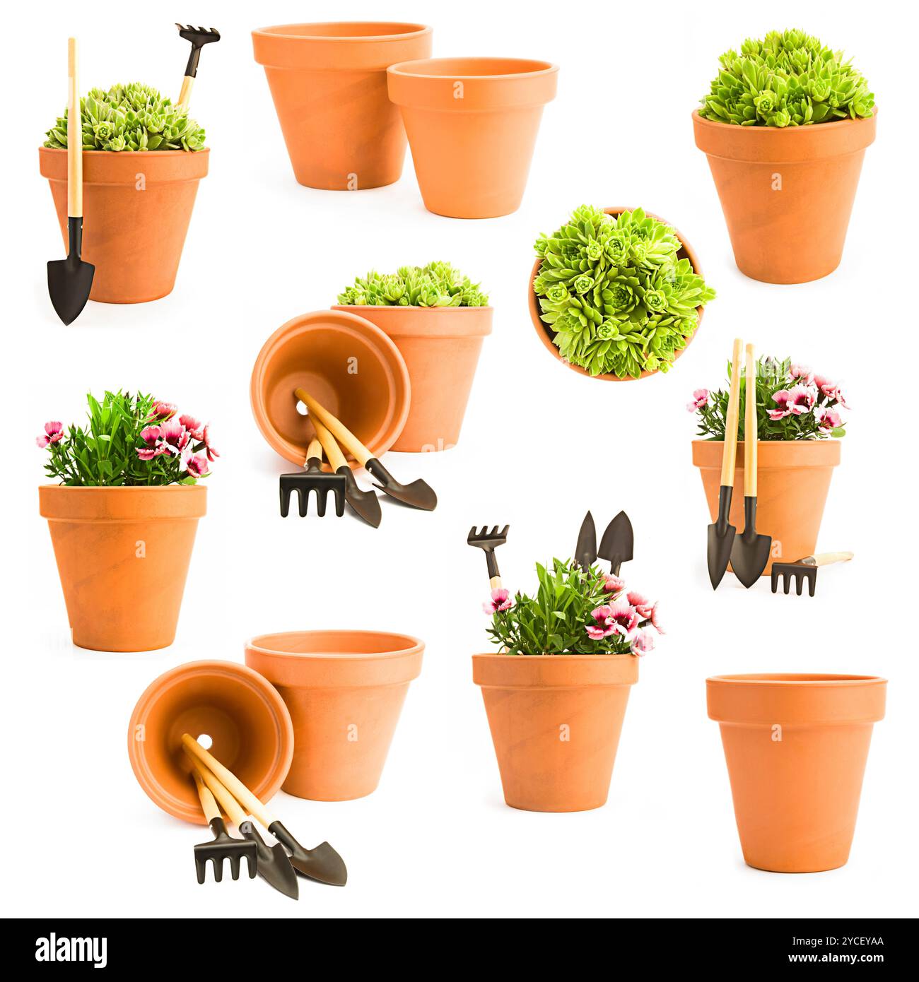 Organic gardening Cut Out Stock Images & Pictures - Alamy
