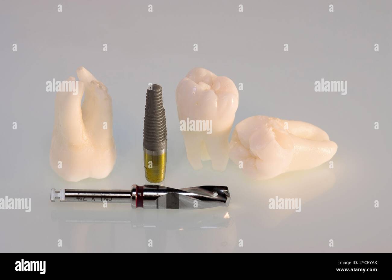Set of sharp teeth hi-res stock photography and images - Alamy