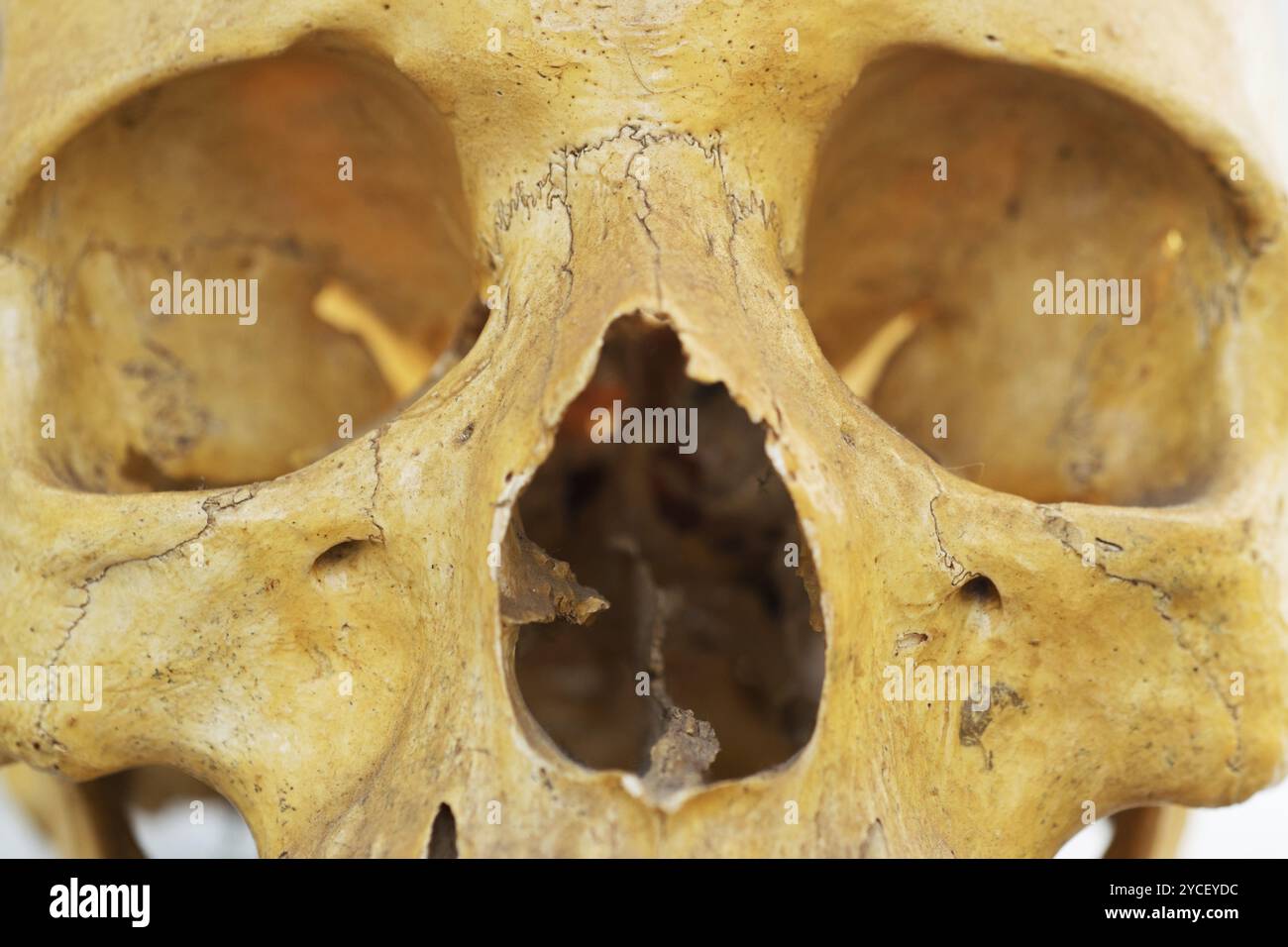 Human humanity hi-res stock photography and images - Alamy