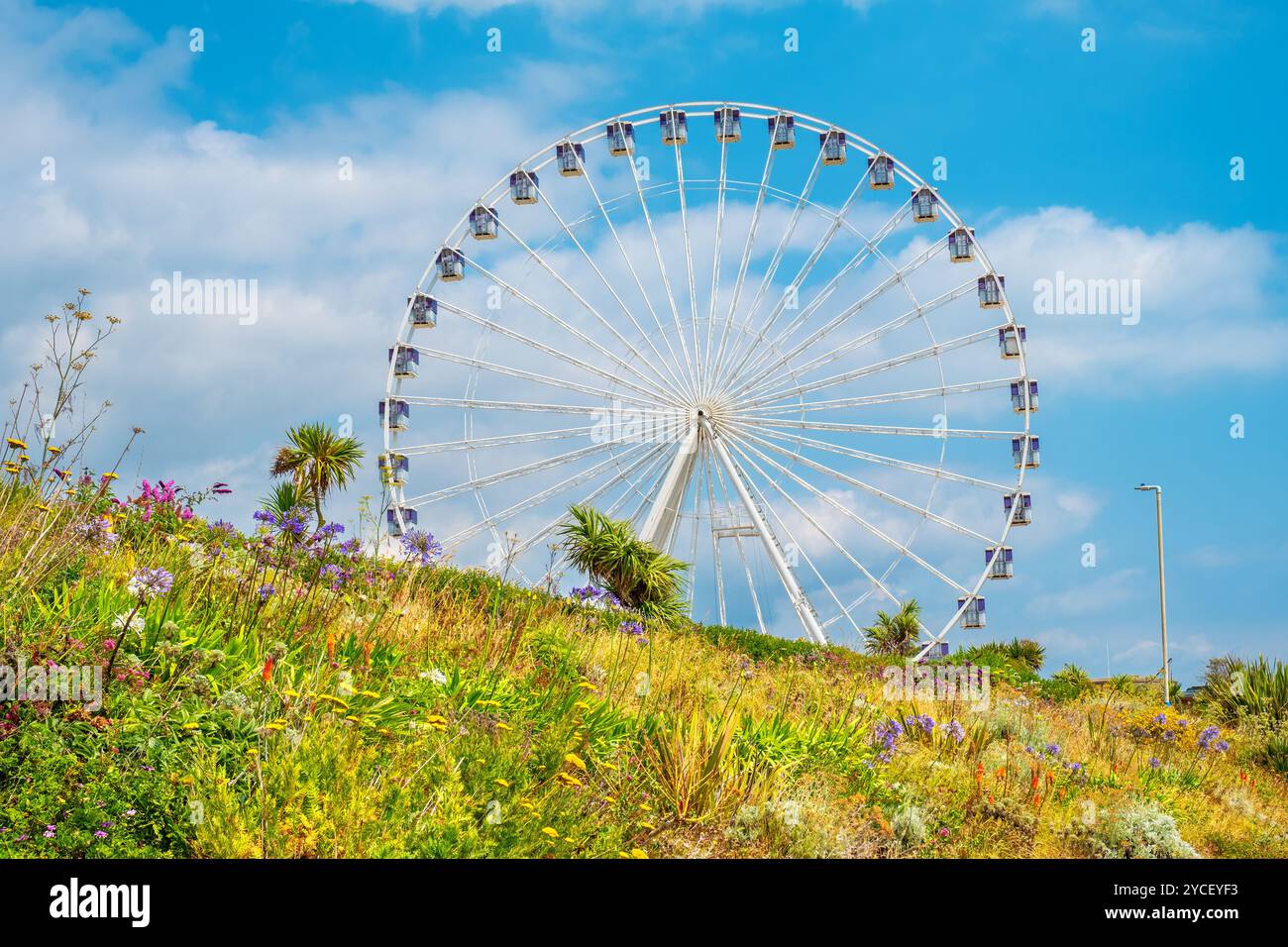 View of giant observation wheel in town park. Eastbourne. East Sussex ...
