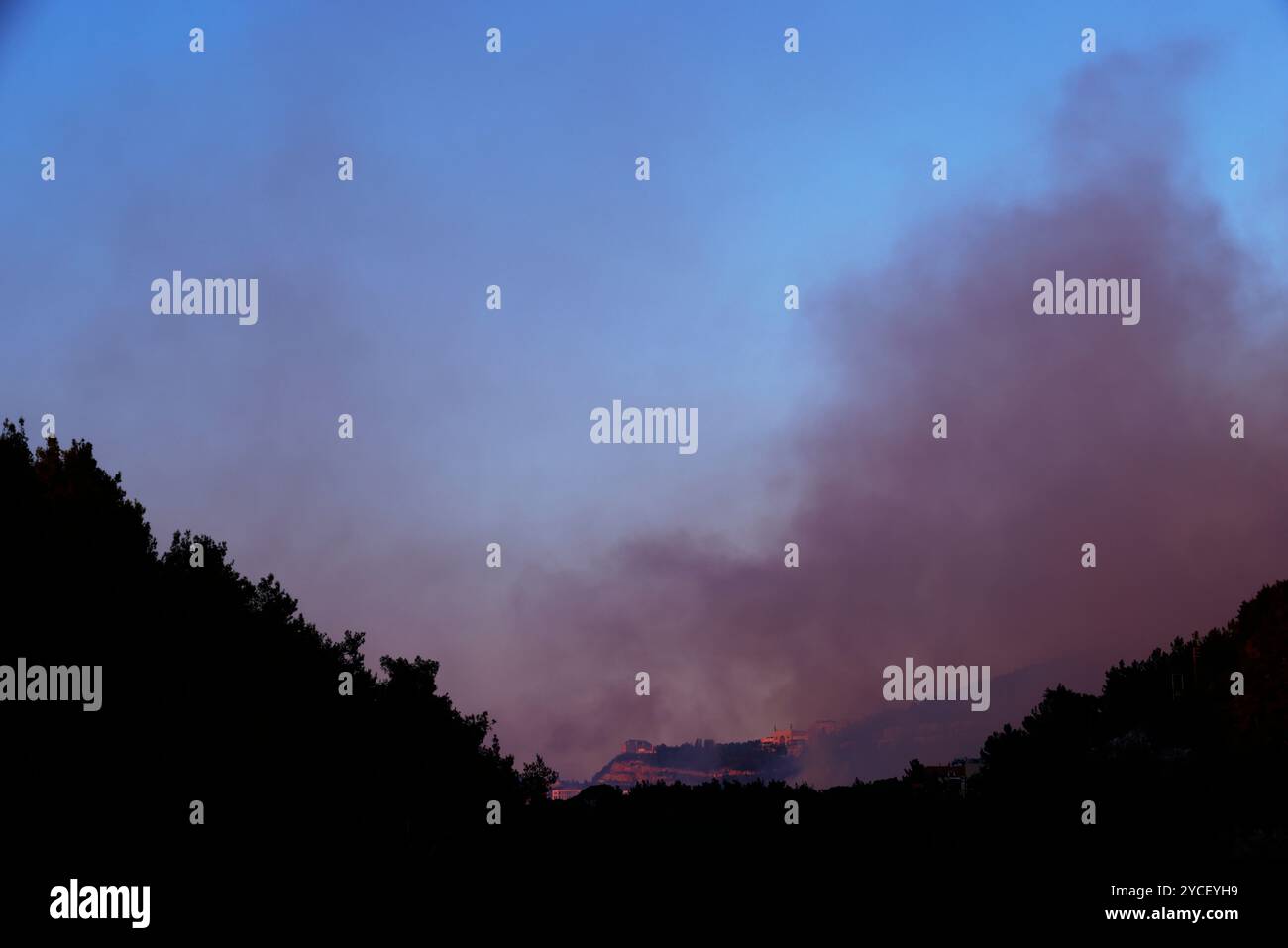 The fire in the Rabweh forests in Mount Lebanon continues to rage ...