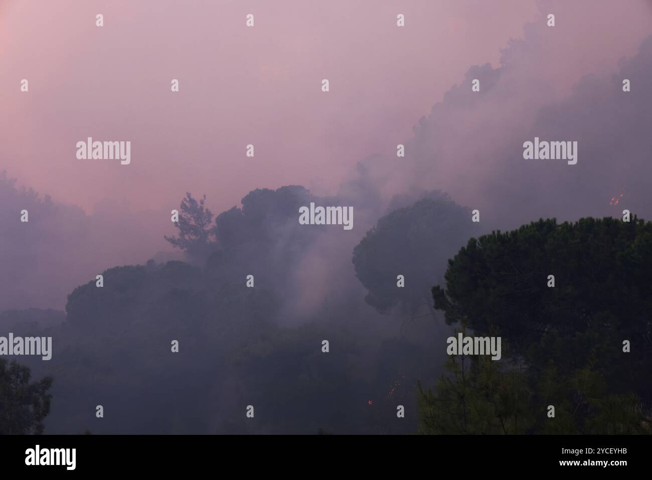 The fire in the Rabweh forests in Mount Lebanon continues to rage ...