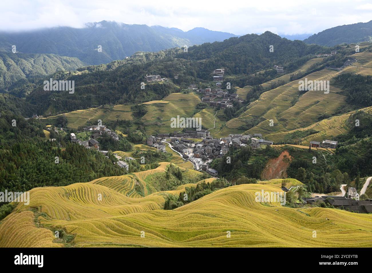 Longsheng, China's Guangxi Zhuang Autonomous Region. 22nd Oct, 2024 ...