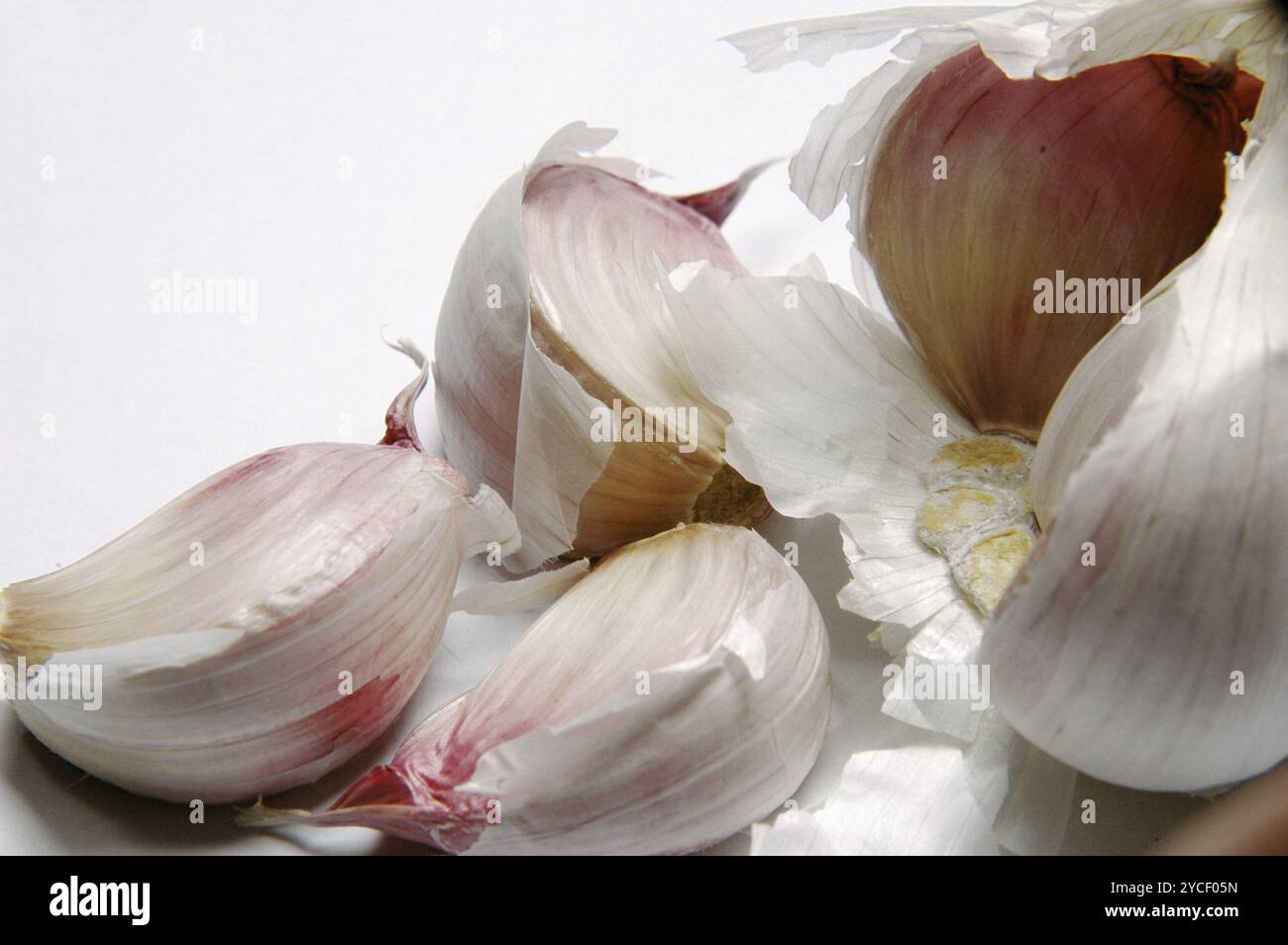 Garlic, Close Up against white background Stock Photo - Alamy