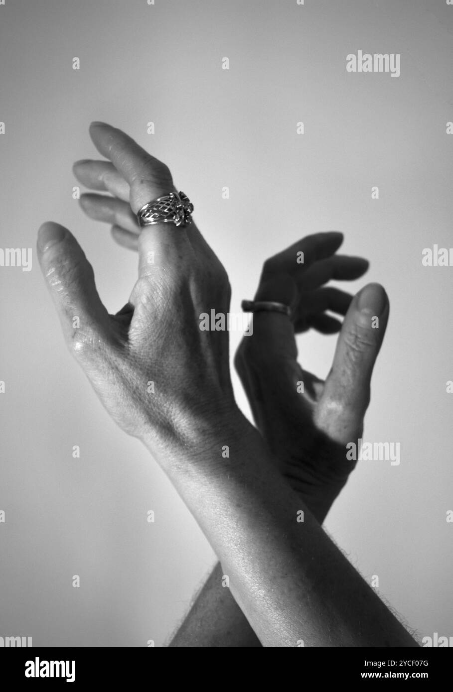 Studiocomposition hi-res stock photography and images - Alamy