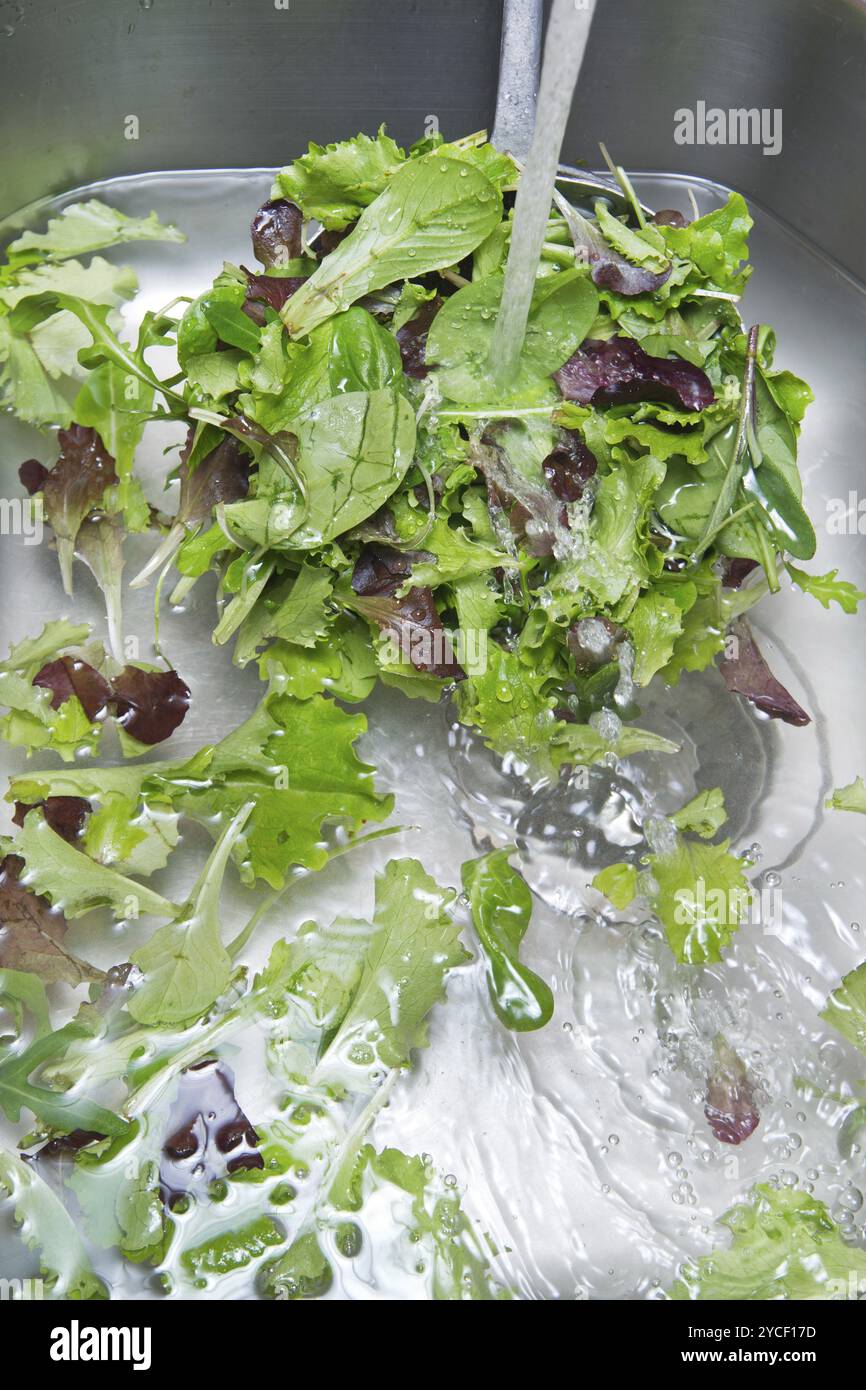 The washing salad in the kitchen sink Stock Photo - Alamy
