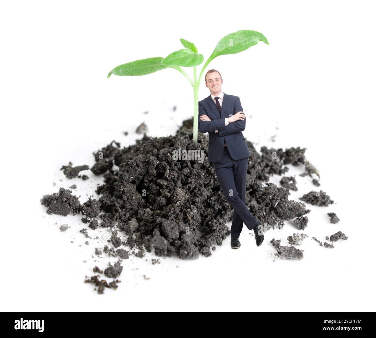 Sprout fresh Cut Out Stock Images & Pictures - Alamy