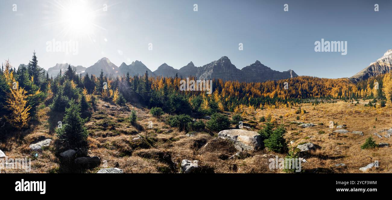 Larch Valley above Moraine Lake, Banff National Park, Alberta, Canada ...