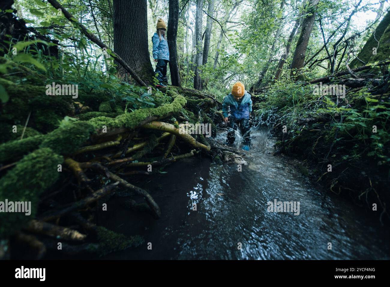 Two children in the forest Stock Photo - Alamy