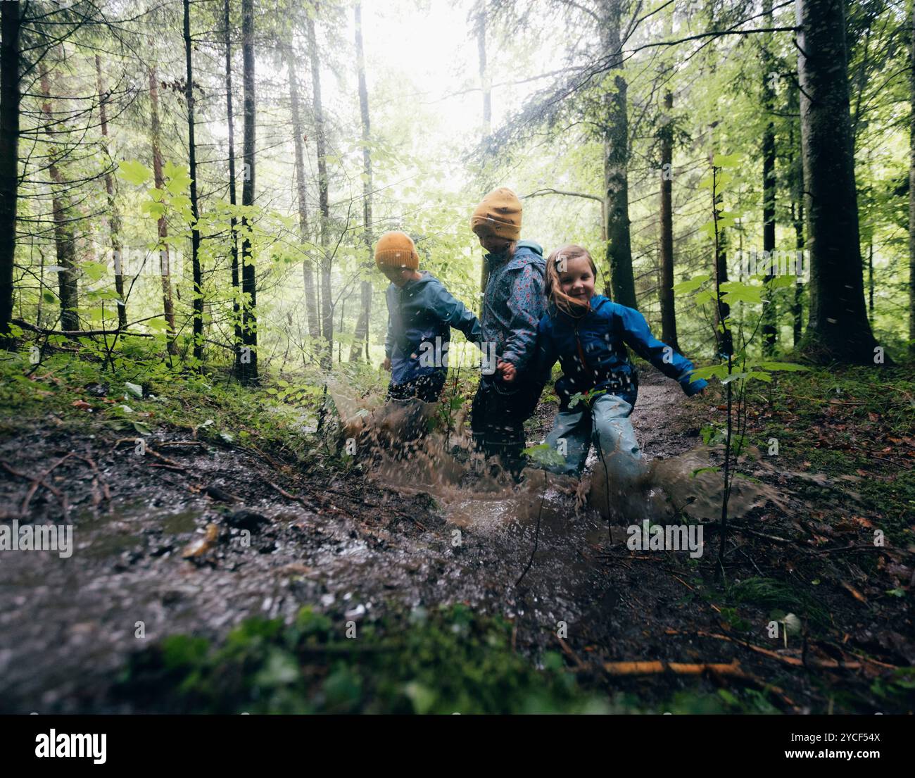 Children in the forest Stock Photo - Alamy