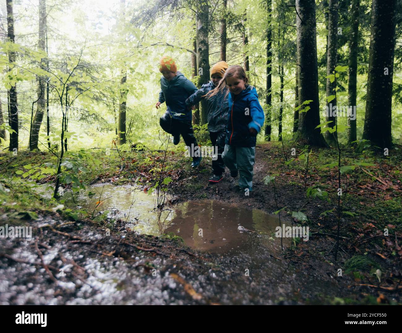 Children in the forest Stock Photo - Alamy