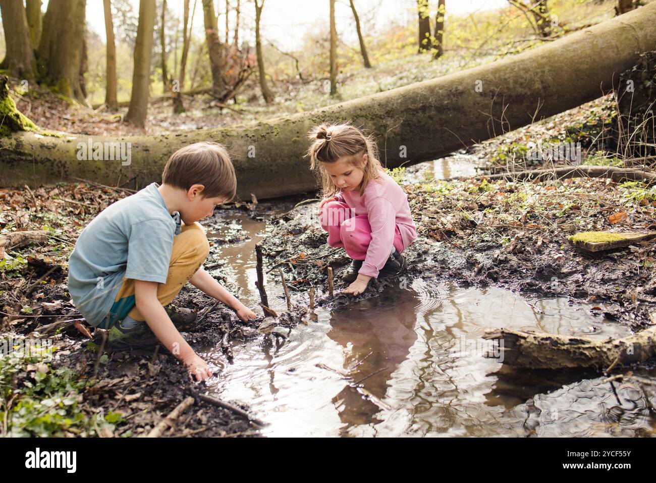 Children playing in a puddle in the forest Stock Photo - Alamy