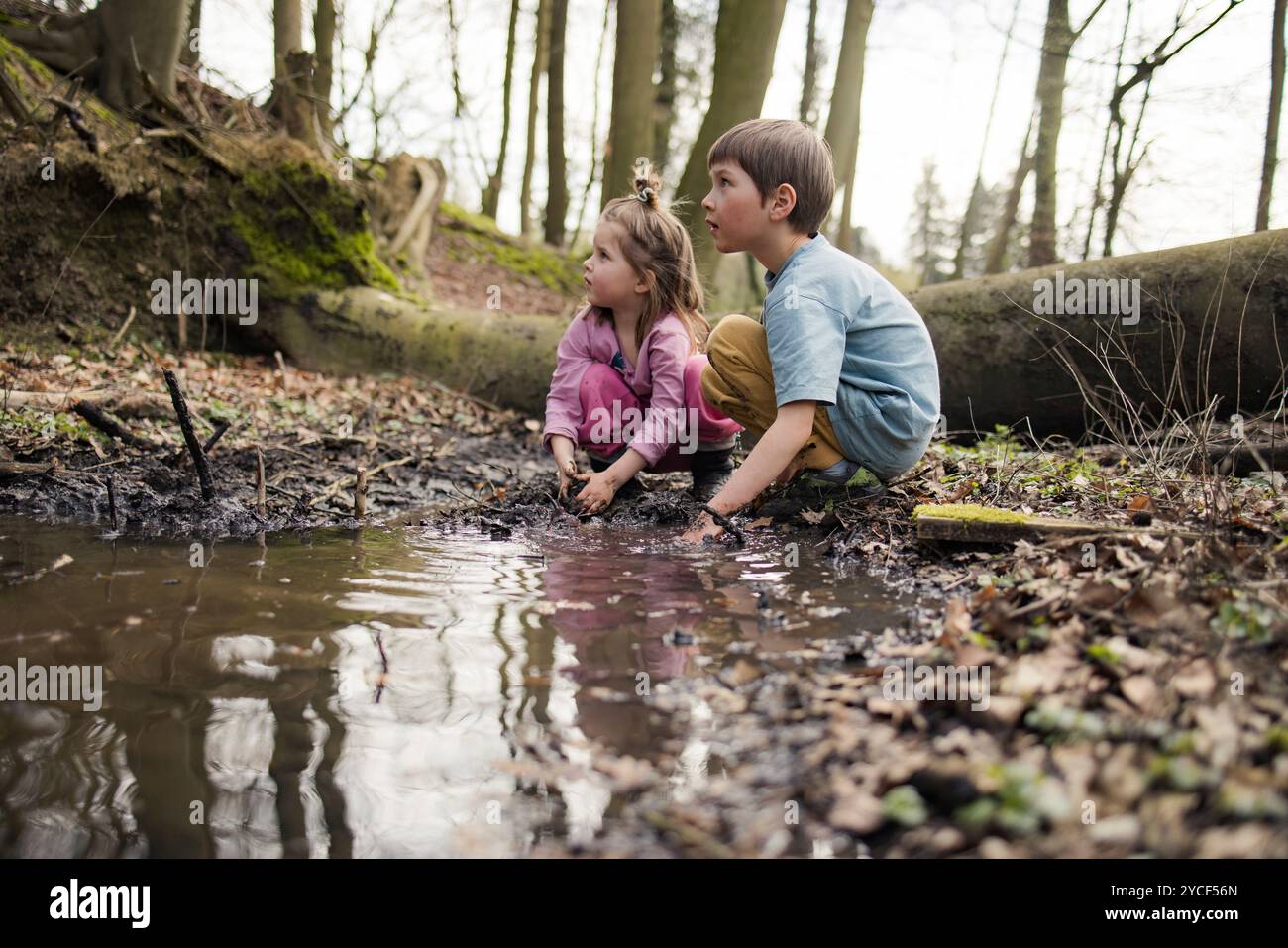 Children playing in a puddle in the forest Stock Photo - Alamy