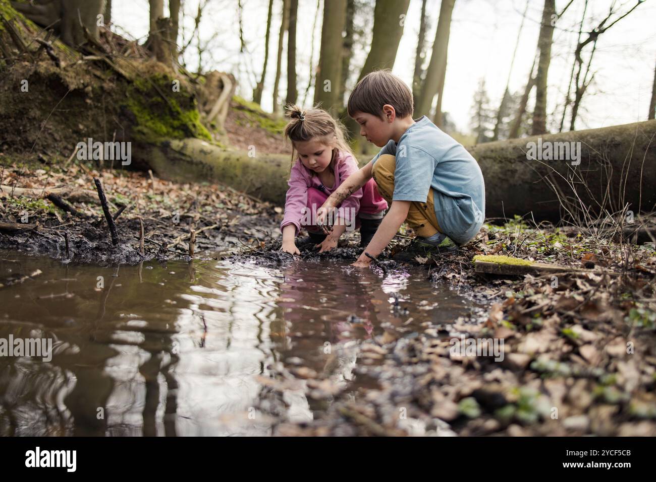 Children playing in a puddle in the forest Stock Photo - Alamy