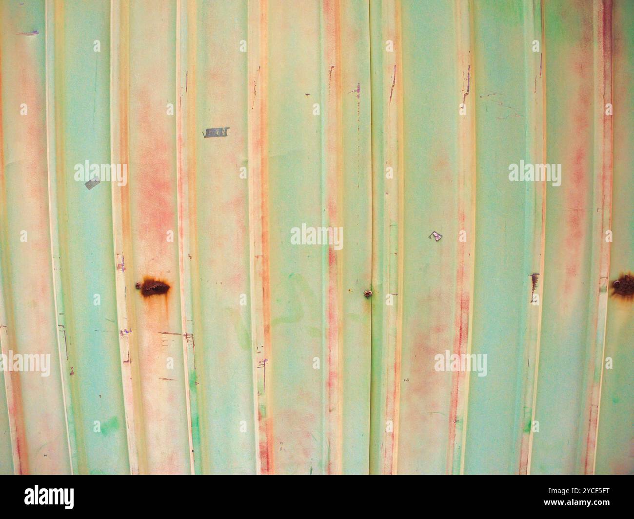 A single vine climbs up a weathered, pastel-colored metal fence, with ...