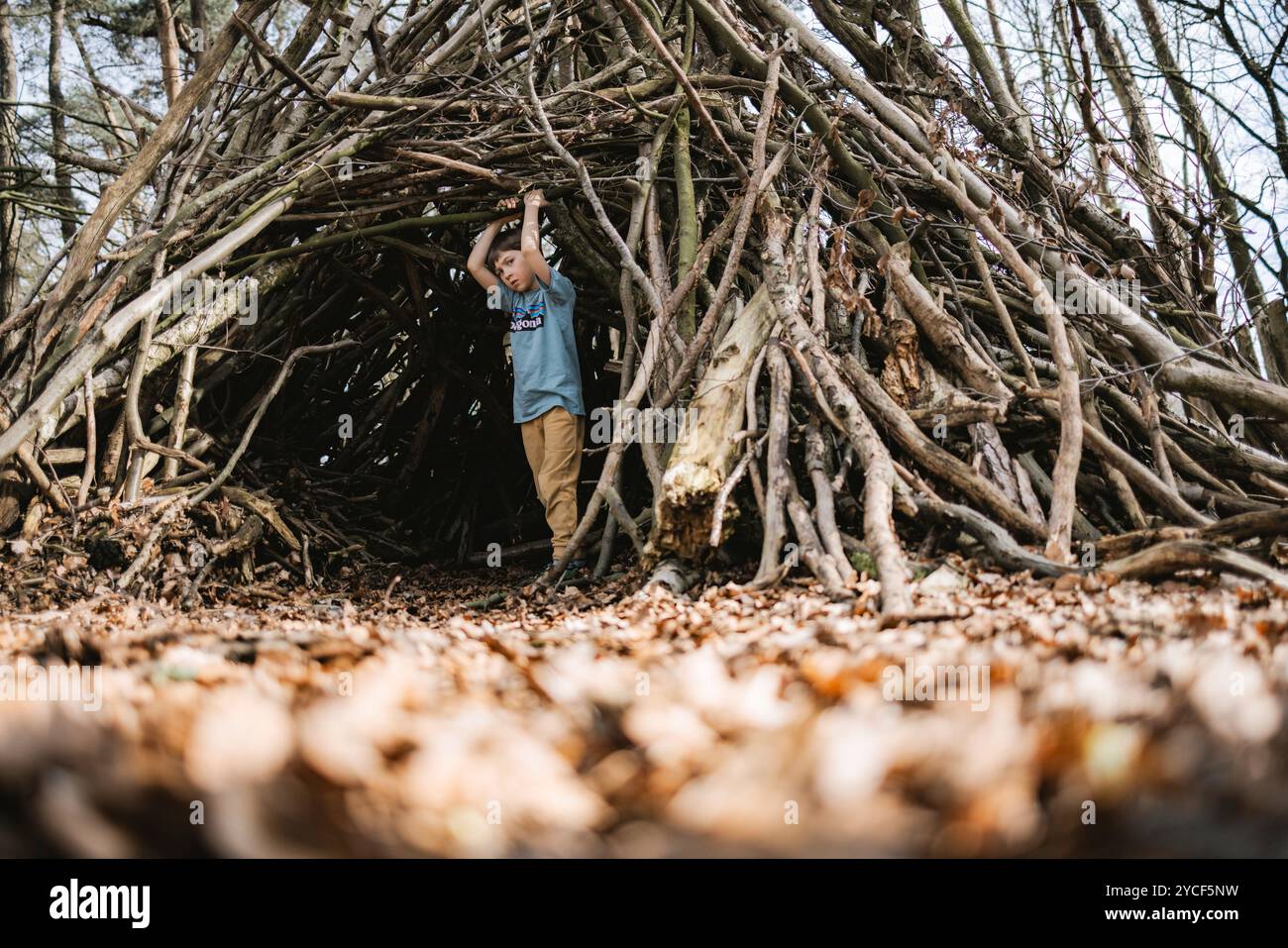 Boy in the forest hi-res stock photography and images - Alamy
