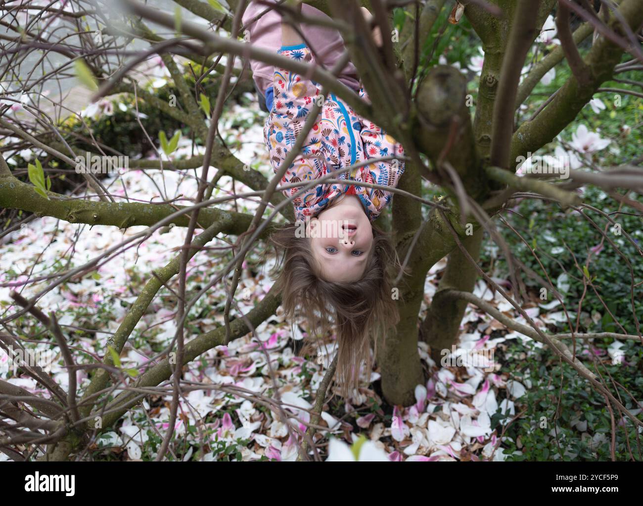 Spring tree girl hi-res stock photography and images - Alamy
