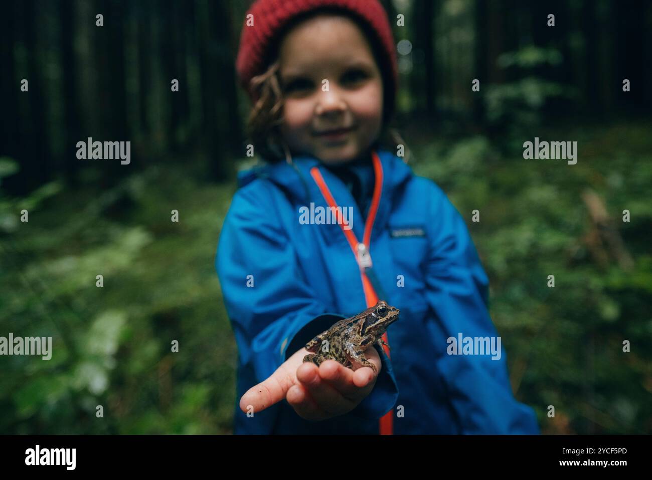Girl holding frog in hi-res stock photography and images - Alamy