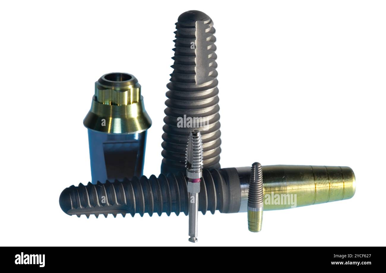 Model of dental implant and implant in actual size Stock Photo - Alamy