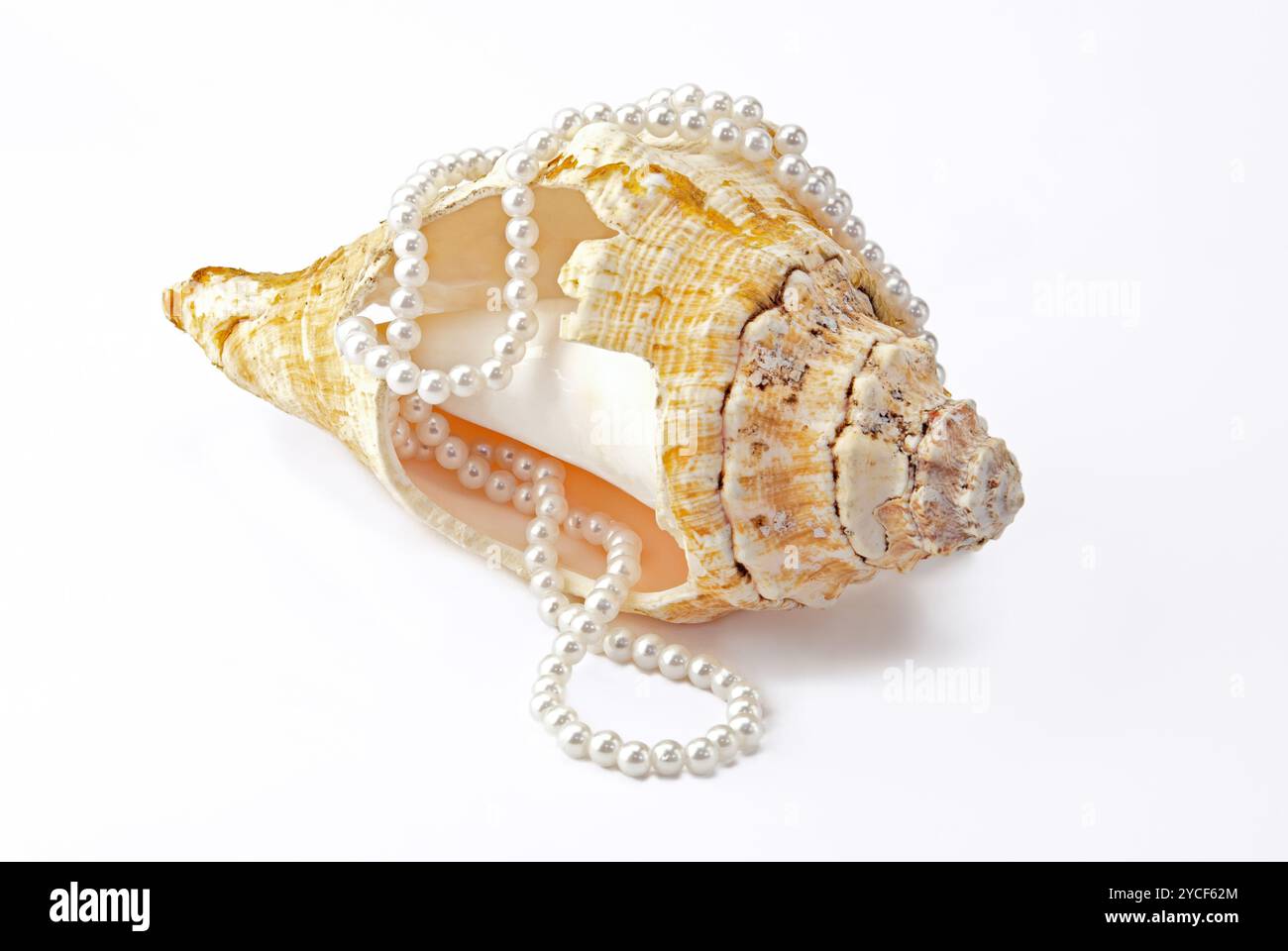 Sea shells and pearls over white background Stock Photo - Alamy