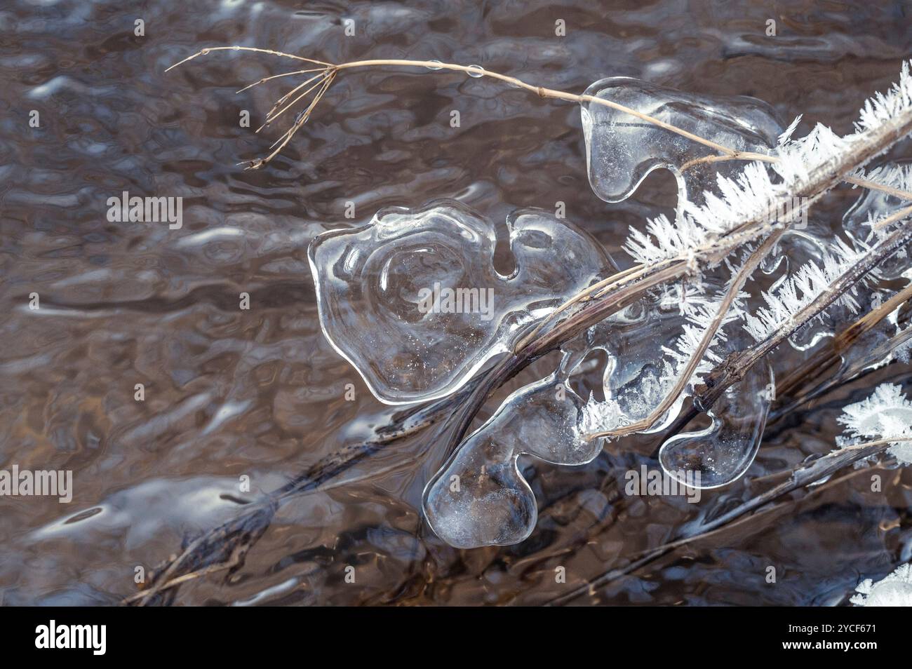 Natural ice sculptures on the water Stock Photo - Alamy