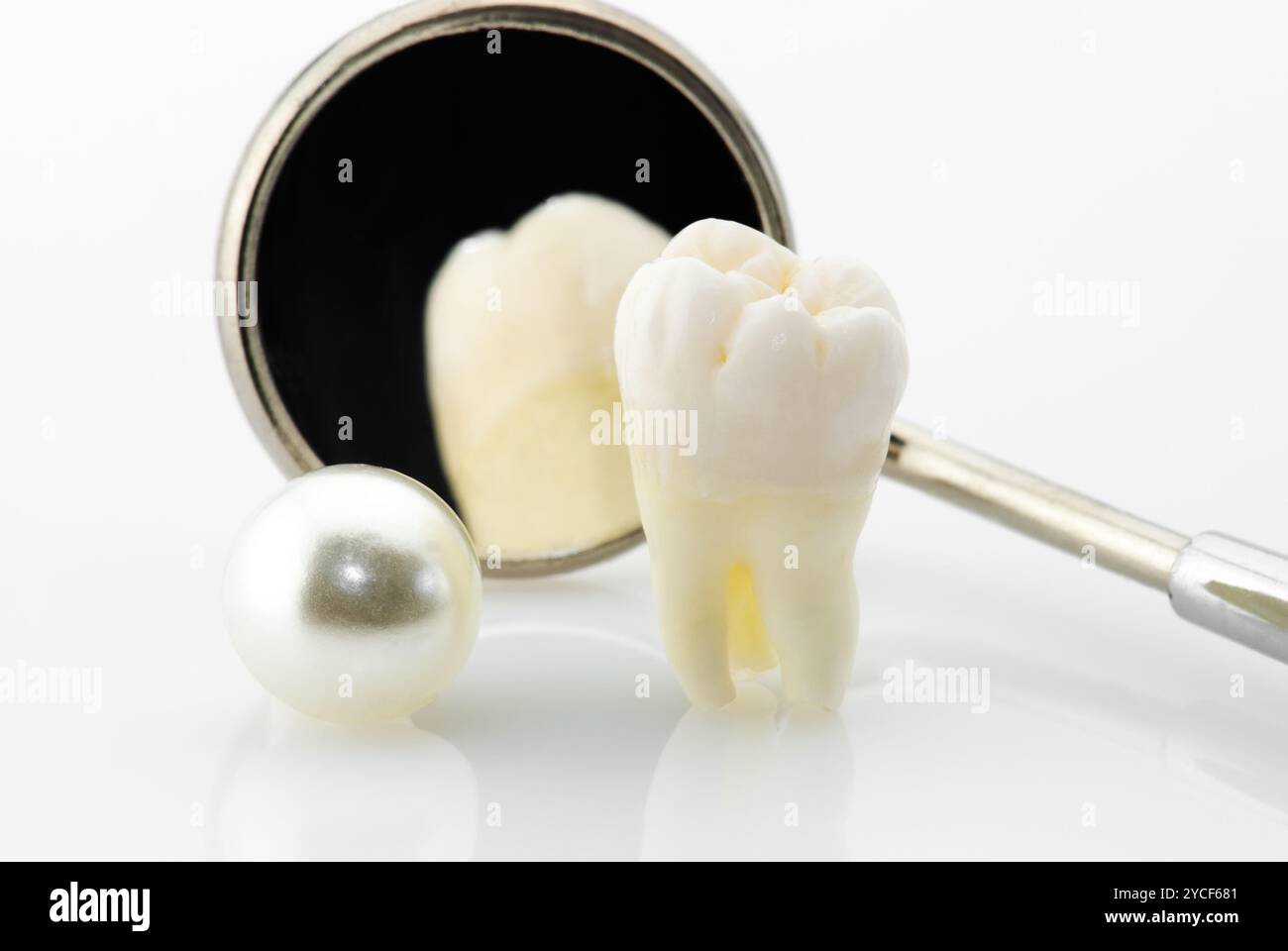 Healthy teeth concept. Real human wisdom tooth, natural pearl and ...