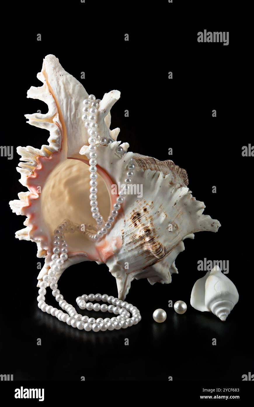 Sea shells and pearls over black background Stock Photo - Alamy