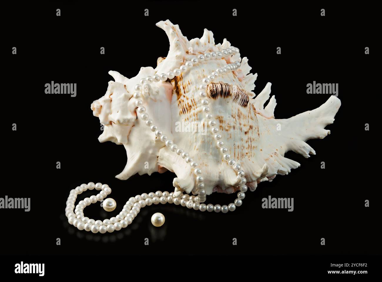 Sea shells and pearls over black background Stock Photo - Alamy