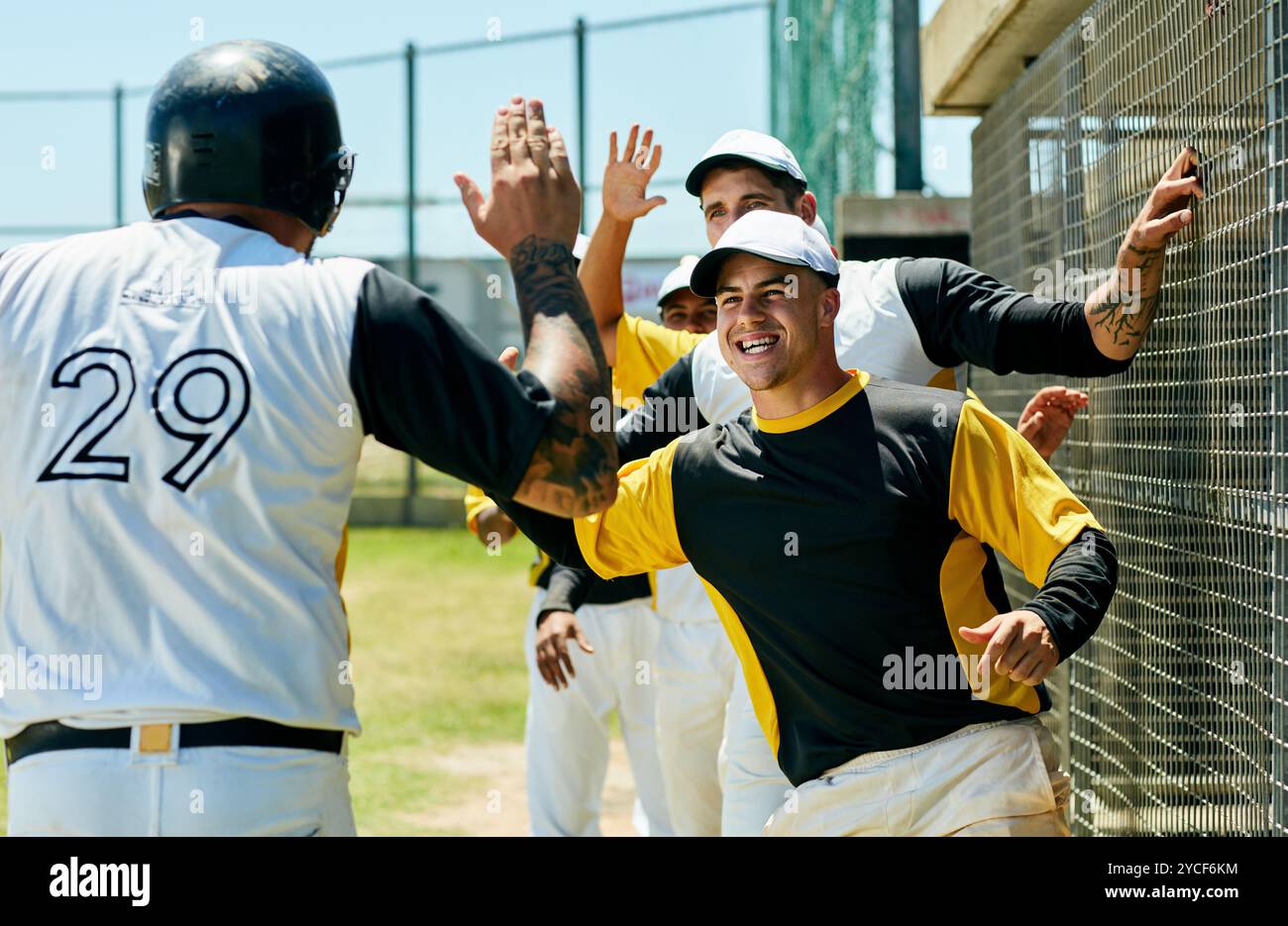 High five, sports and baseball team at game on field cheering for group ...