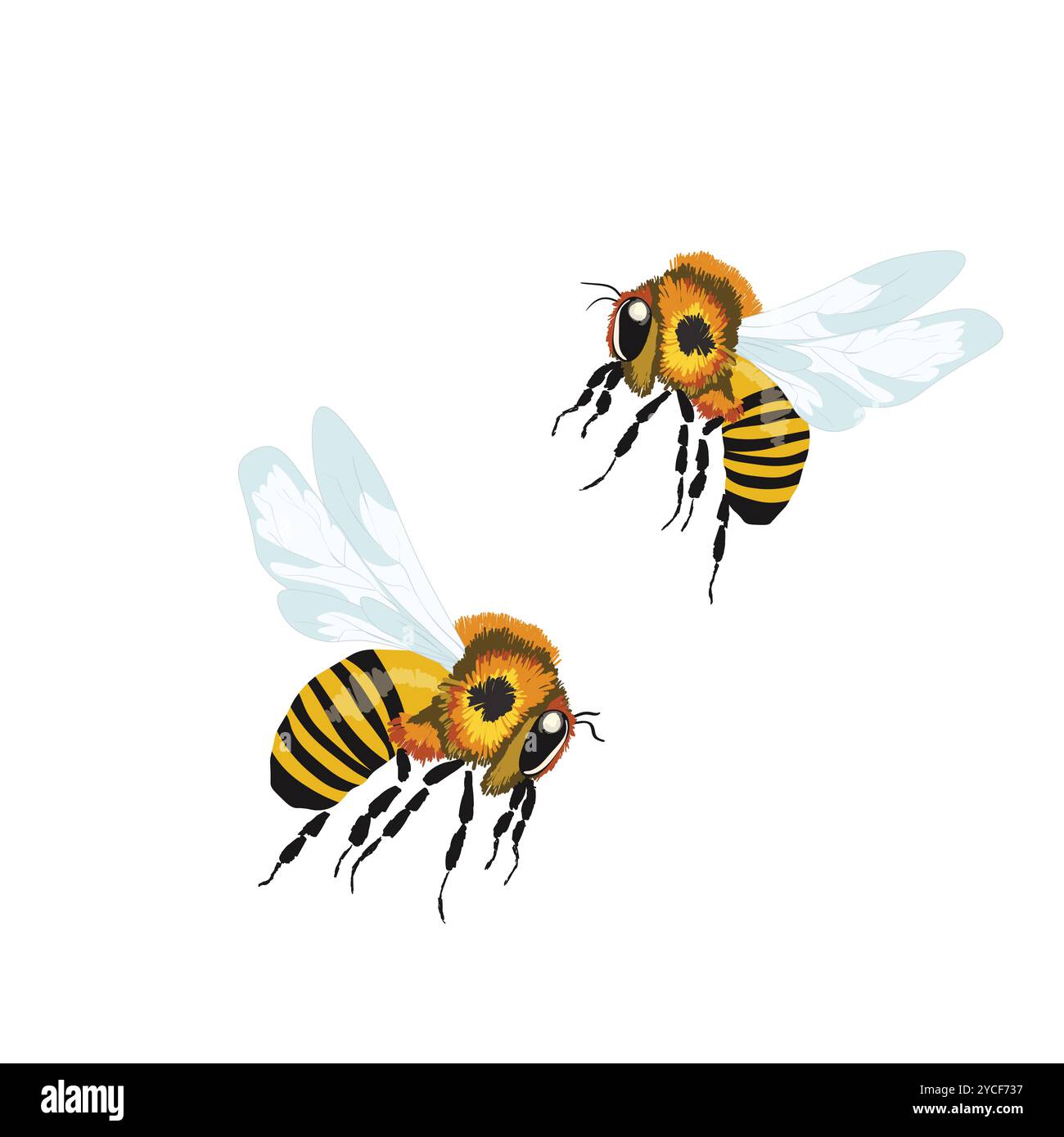 Cartoon bee mascot. A small bees flies. Wasp collection. Vector ...