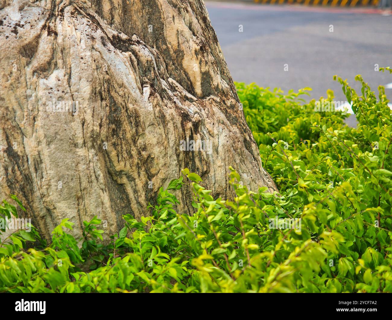 A massive, textured stone stands in the center of a small roundabout ...