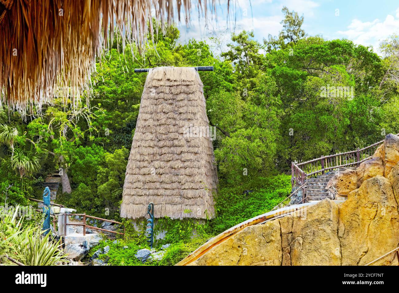 Beautiful landscape of humid tropical jungle Stock Photo - Alamy