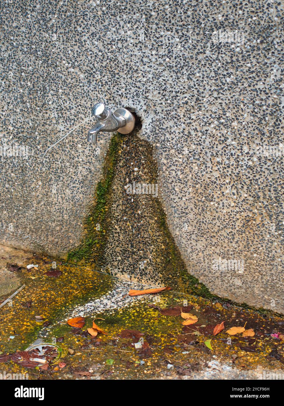 A small water faucet leaks onto a pebbled stone wall, creating moss and ...