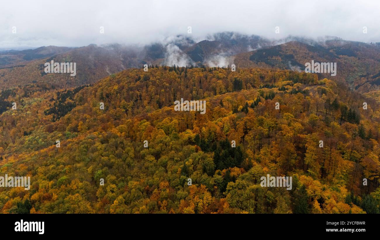 Thueringer Wald im Herbst 22102024 - Der Thueringer Wald bei Ruhla im ...