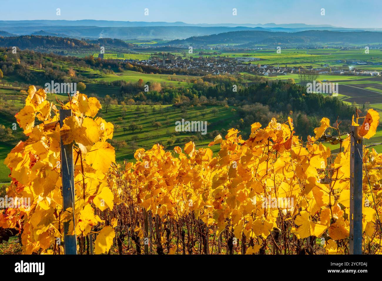 Ammerbuch entringen hi-res stock photography and images - Alamy