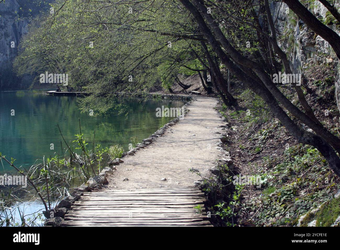 Pathway scene hi-res stock photography and images - Alamy