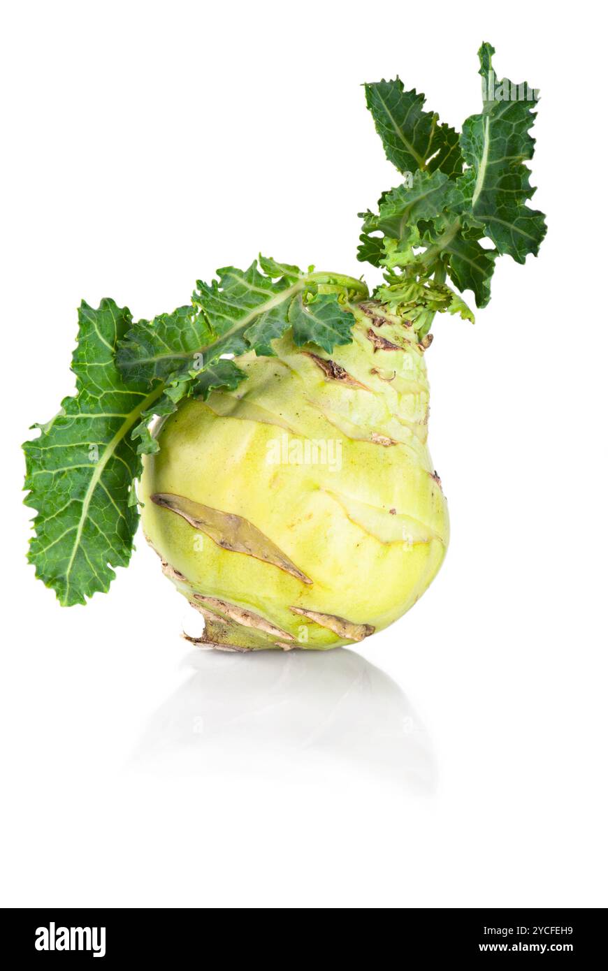 Cabbage rave hi-res stock photography and images - Alamy