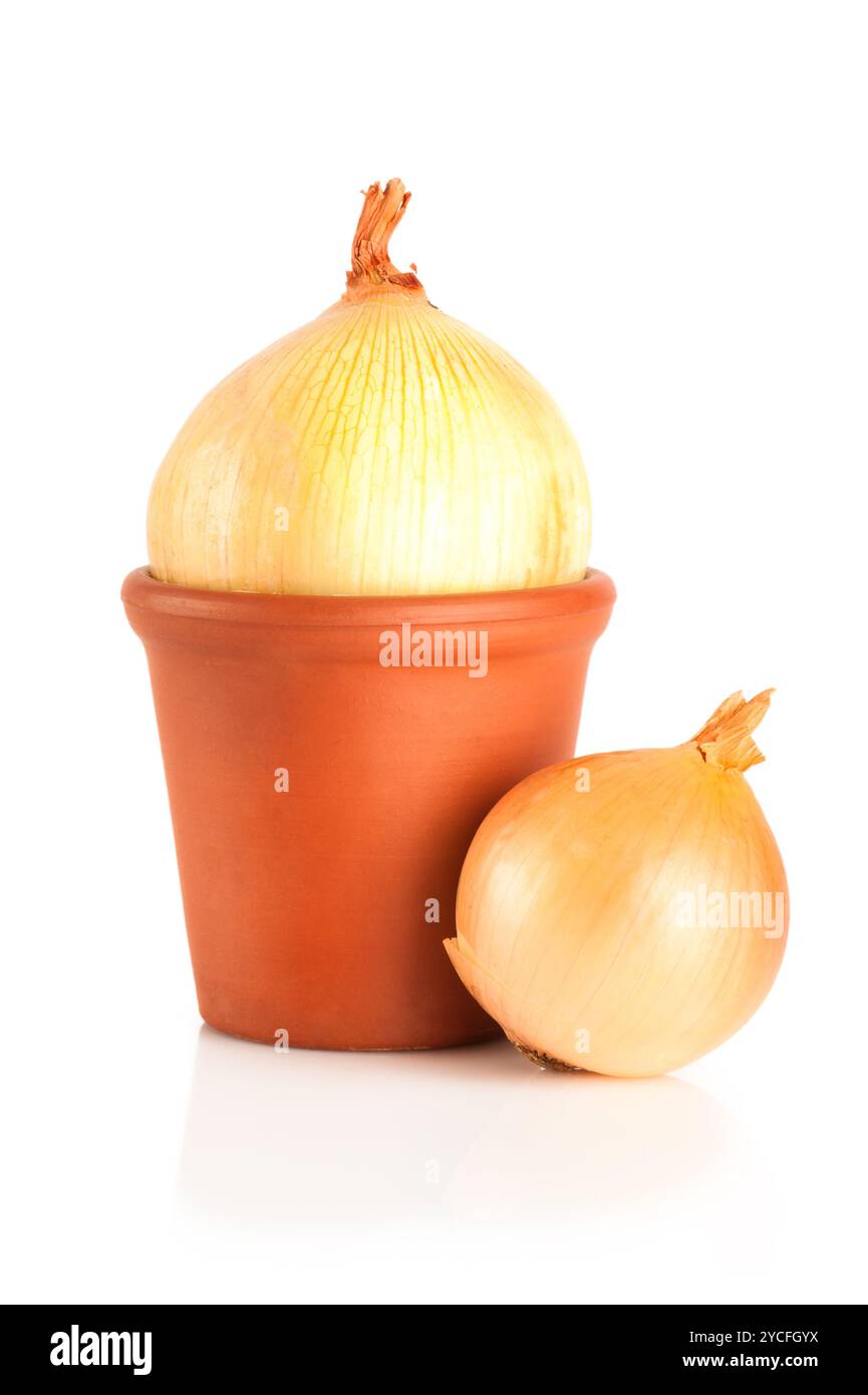 Onion in pot Stock Photo - Alamy
