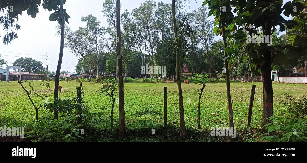 Wooden Speed Boats at Karnaphuli River Stock Photo - Alamy