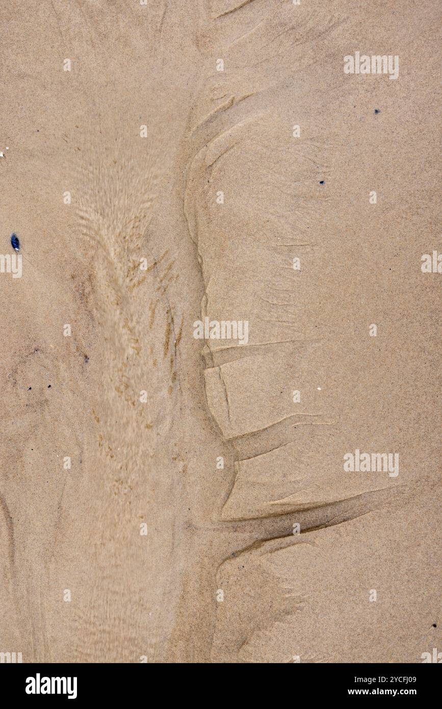 Beach still life, wallpaper Stock Photo - Alamy