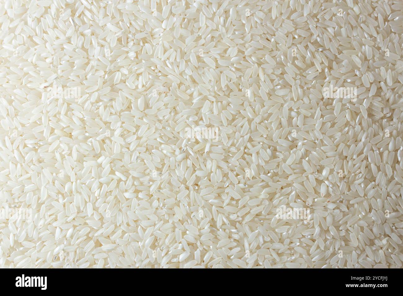 Dry Uncooked White Rice Background - Top View, Flat Lay. Scattered Raw ...