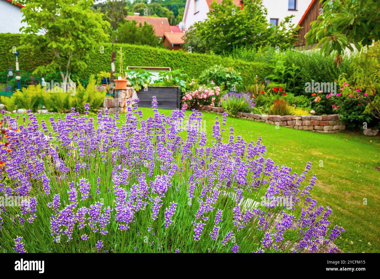 blooming garden in Middle Franconia Stock Photo - Alamy