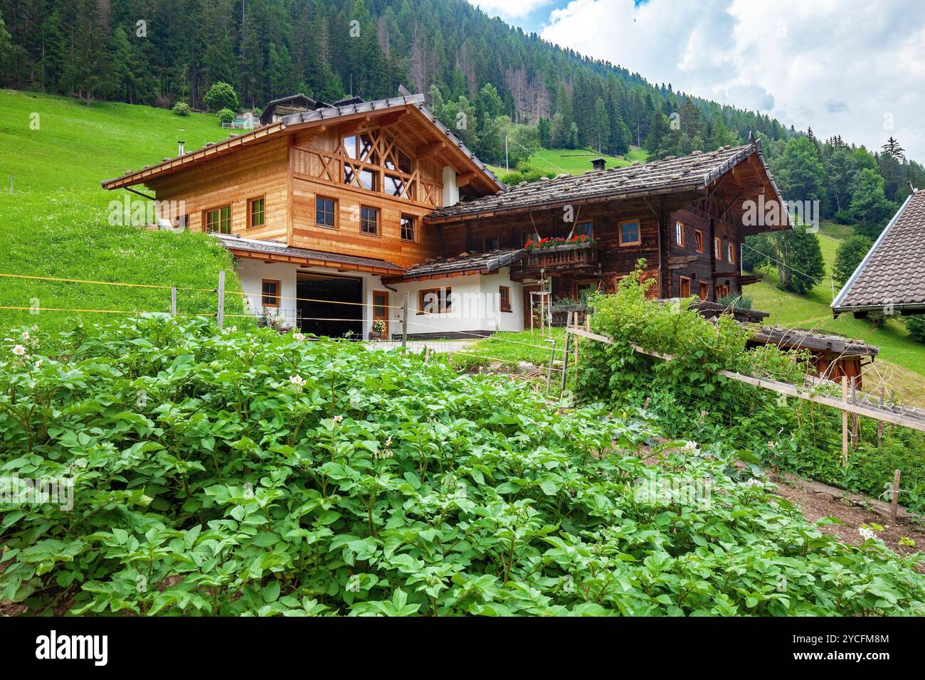 In the foreground a small potato field, behind it a mountain farm ...