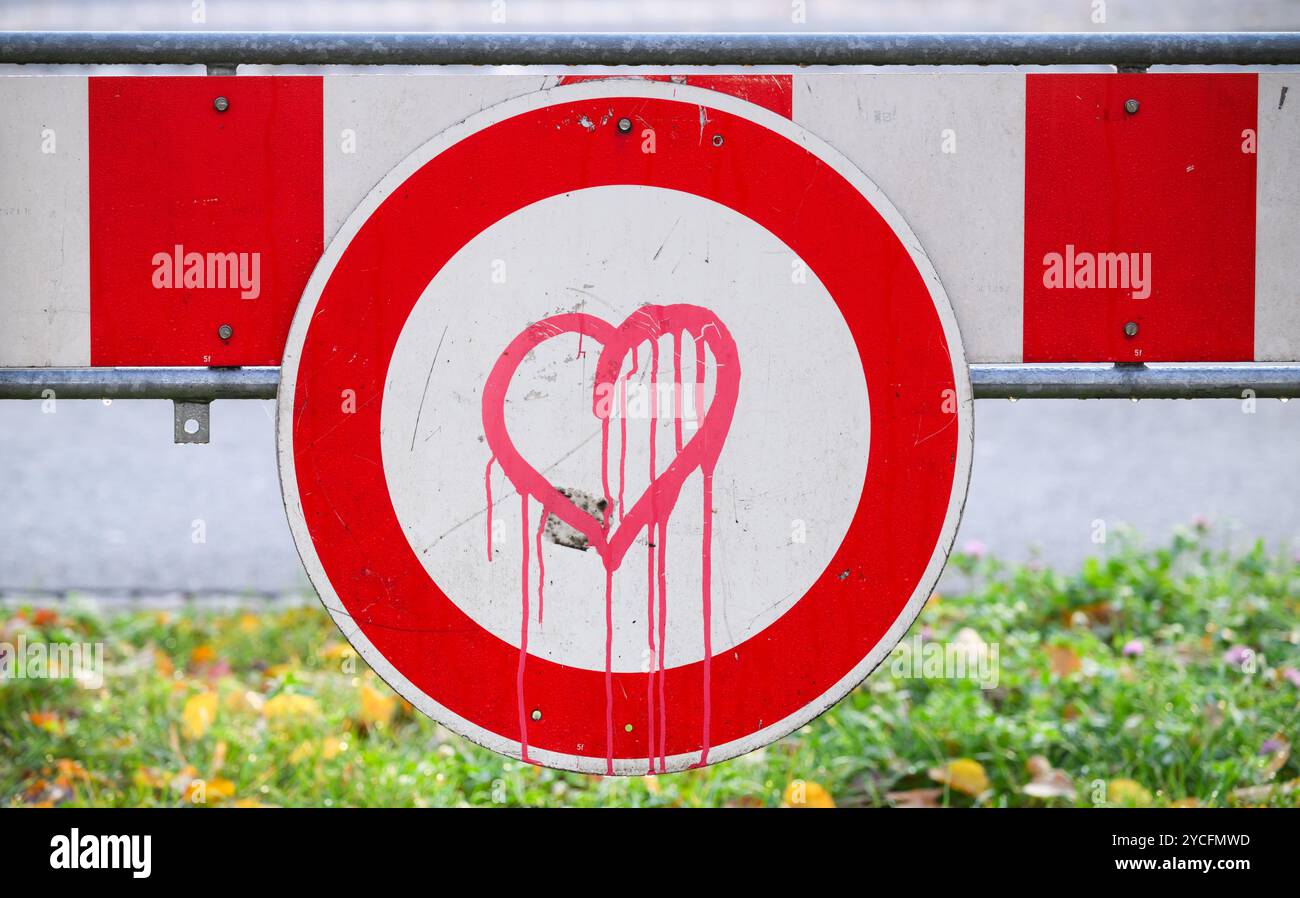 23 October 2024, Lower Saxony, Hanover: A painted heart can be seen on ...