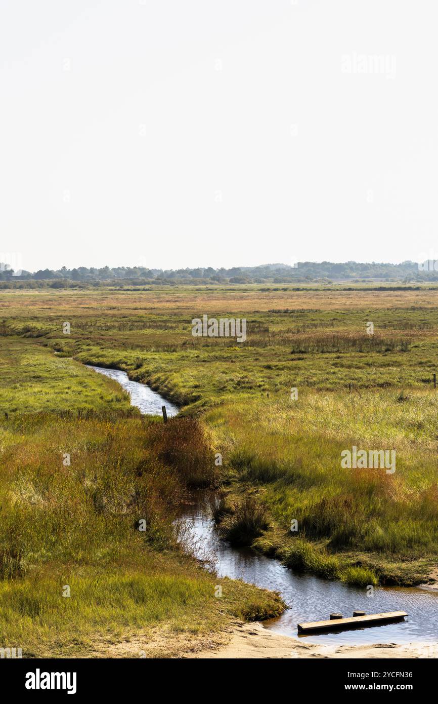 Salt marshes in the Schleswig-Holstein Wadden Sea National Park near ...
