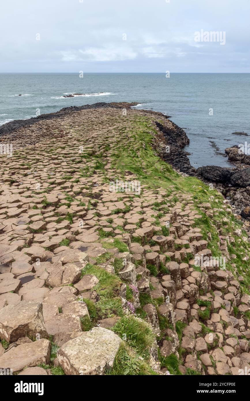 A vertical photo of Giant's Causeway, Northern Ireland, showcasing a ...