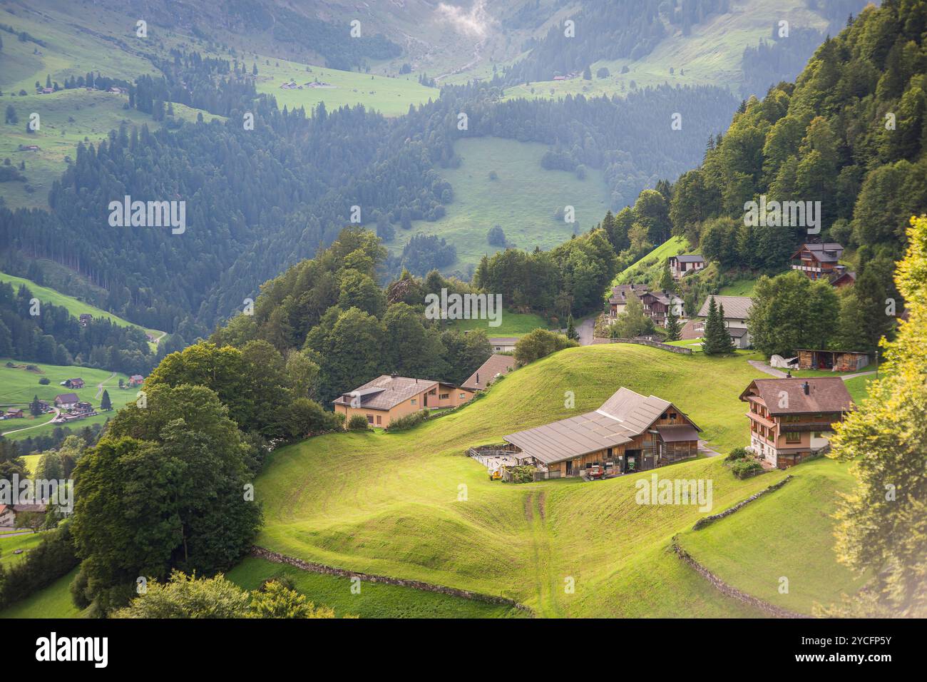 Alpine pasture landscape hi-res stock photography and images - Alamy