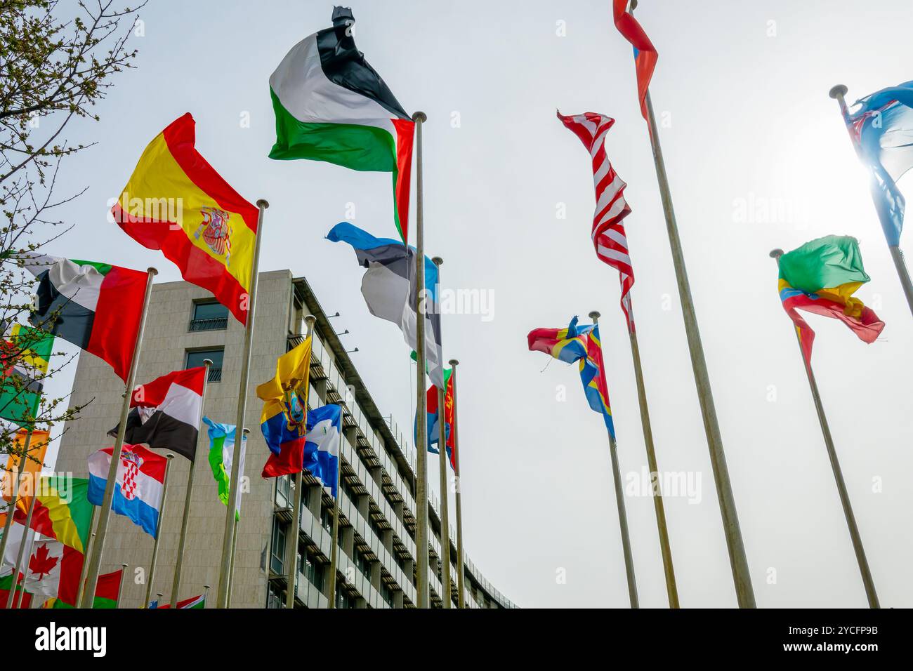 Flags and UNESCO (United Nations Educational Scientific and Cultural ...