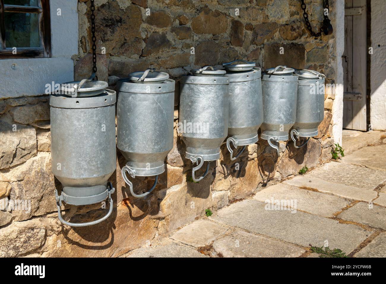 Transported cow hi-res stock photography and images - Alamy