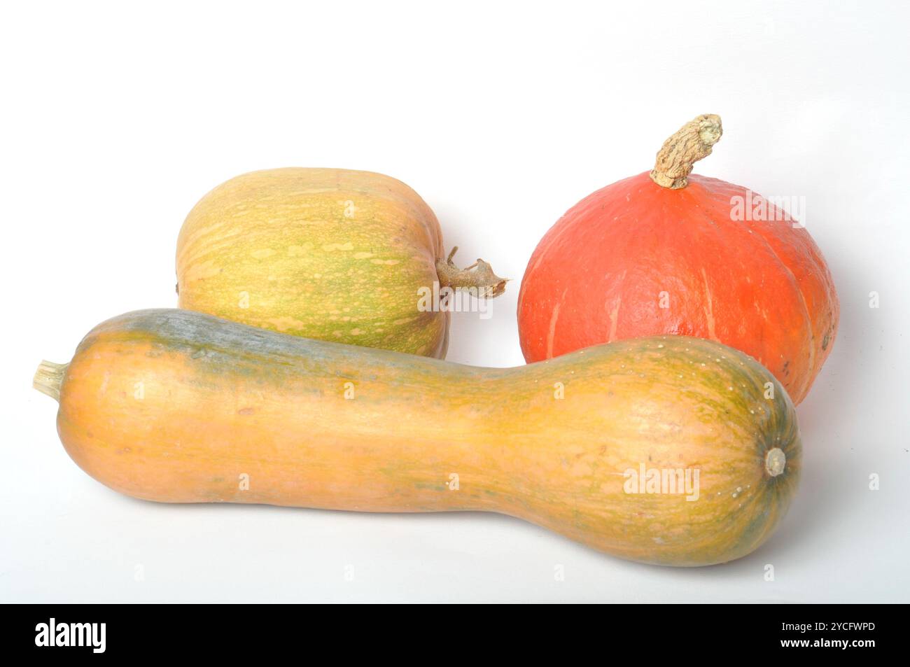 Squash on a white background Stock Photo - Alamy